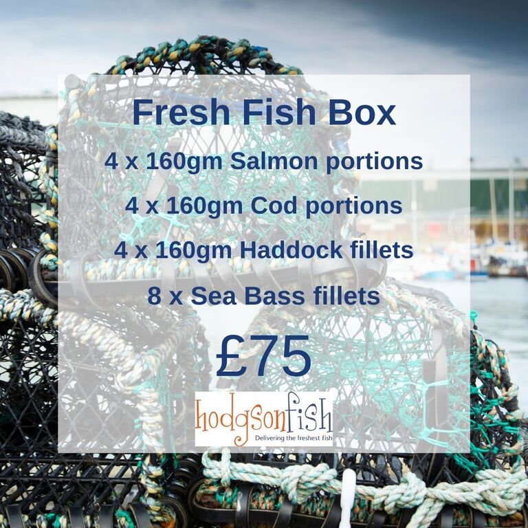 Fish Boxes - Hodgson Fish