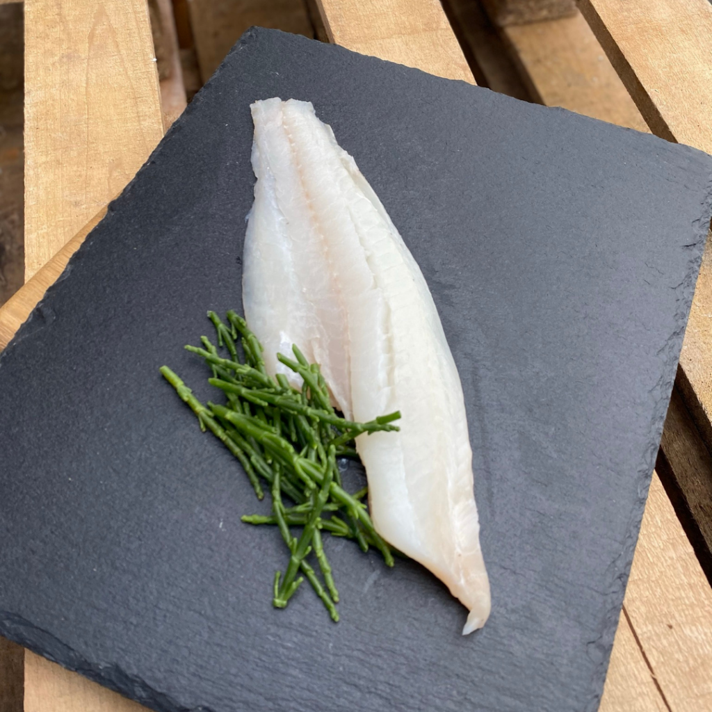 Haddock Fillet - Hodgson Fish