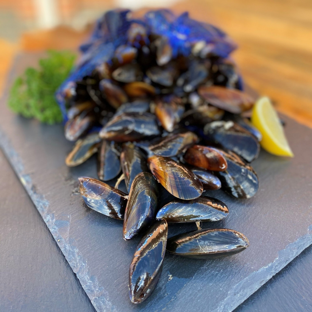 Small Shellfish Platter – Hodgson Fish