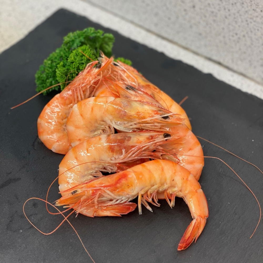 Cooked Crevettes 1kg - Hodgson Fish