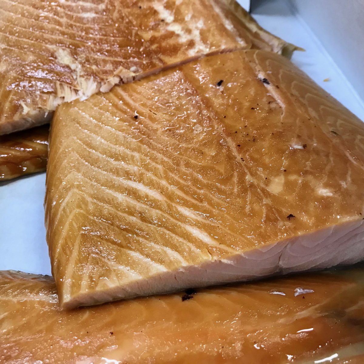 Potted Salmon - Hodgson Fish