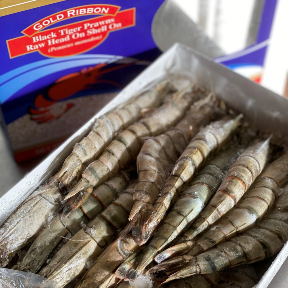 Lightly Dusted Squid - Hodgson Fish