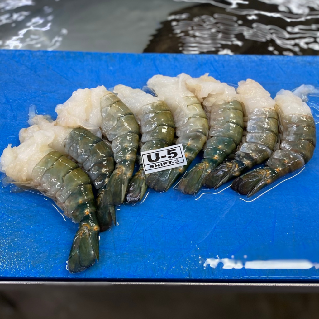 Extra Large Jumbo Shell on King Prawns - Hodgson Fish